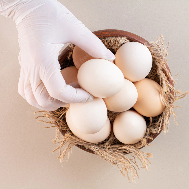 Fresh Table Eggs – JG Food GMBH